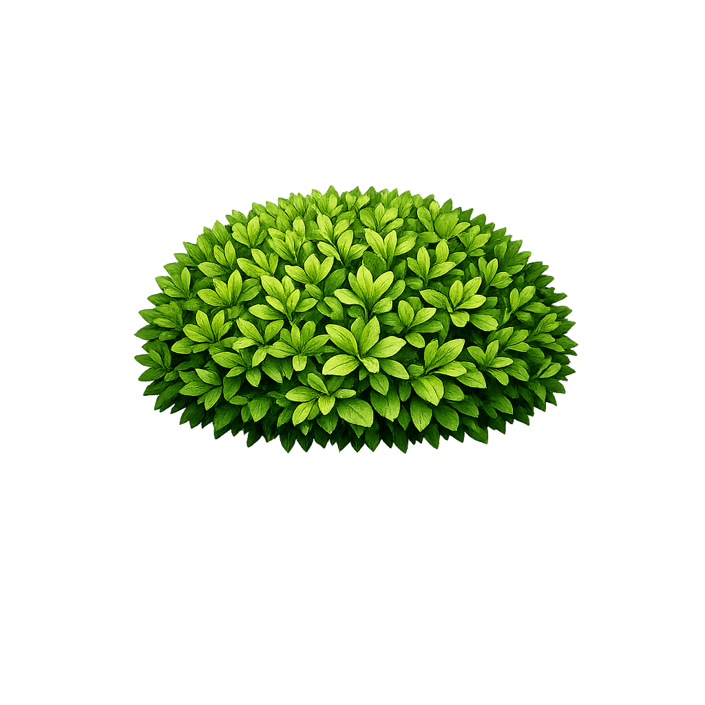 UK Garden Planner — Plan, Sow & Grow Veg | Daggle