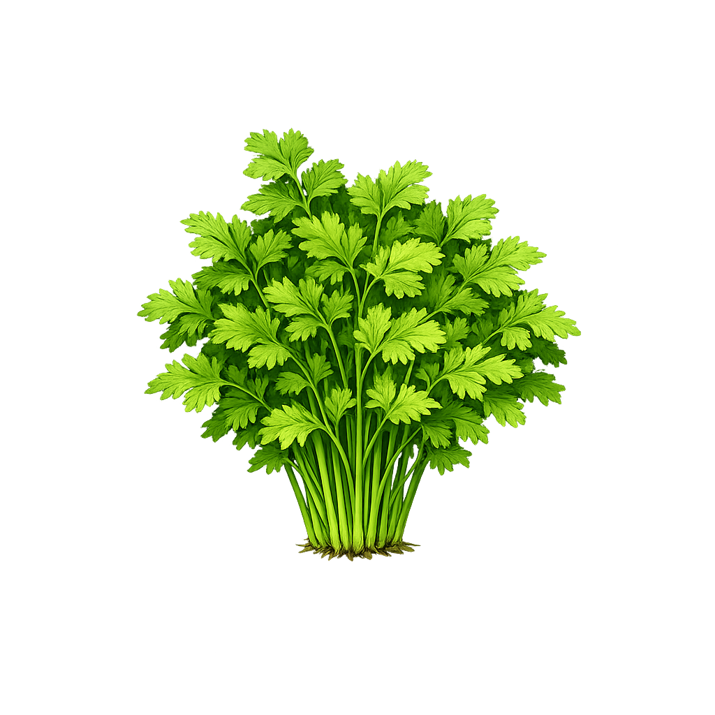 UK Garden Planner — Plan, Sow & Grow Veg | Daggle